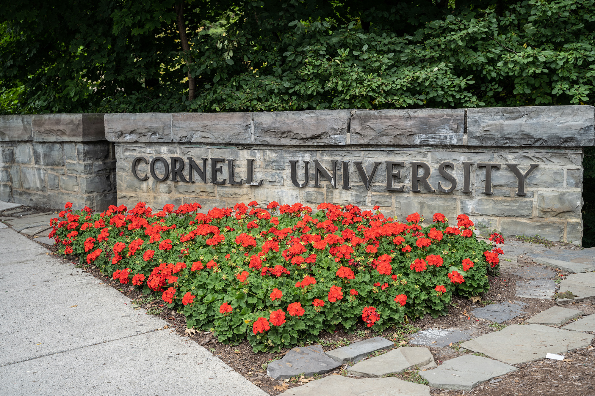 Cornell Introduces New Leadership and Faculty