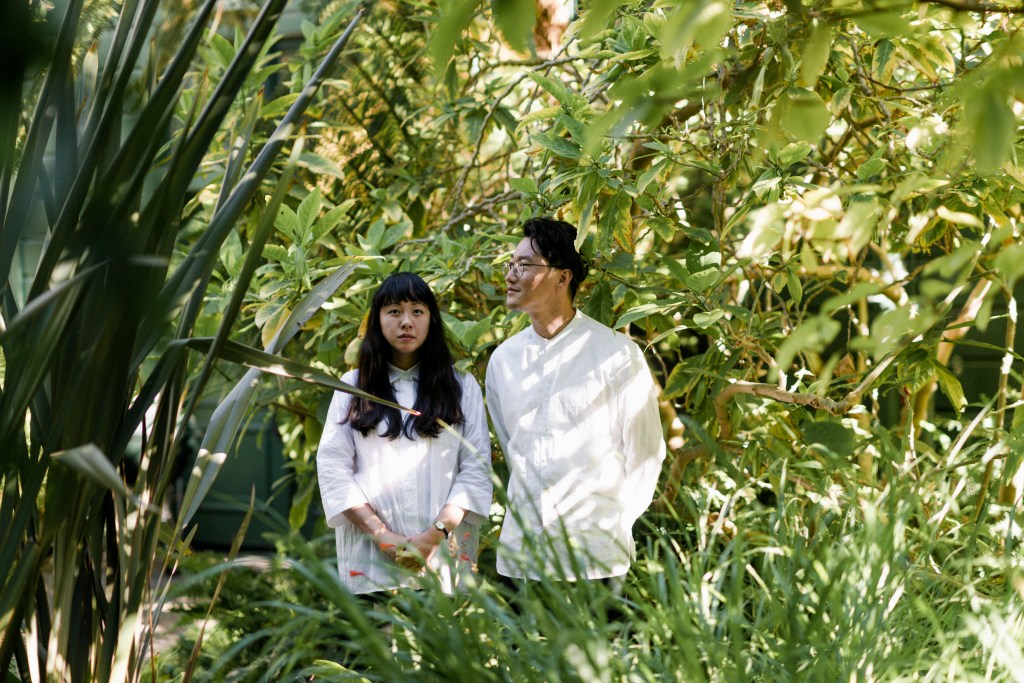 Next Progressives: Figure