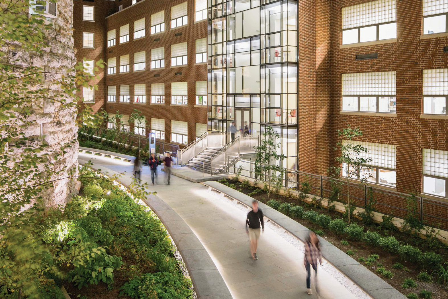 CarbonPositive: Building on the Best of COP27