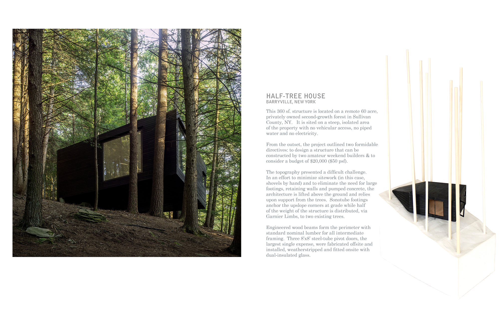 Half-Tree House - Architect Magazine