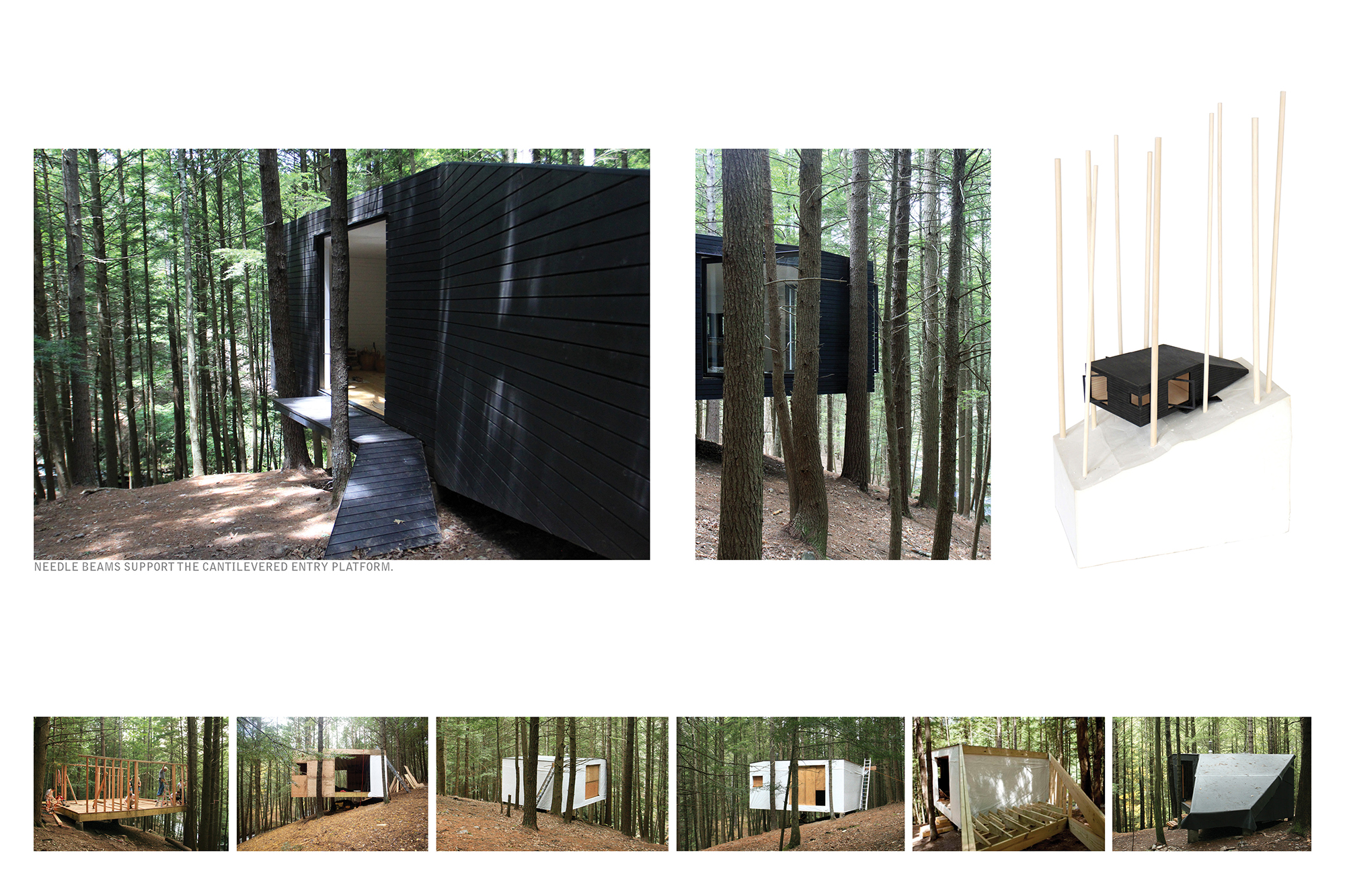 Half-Tree House - Architect Magazine