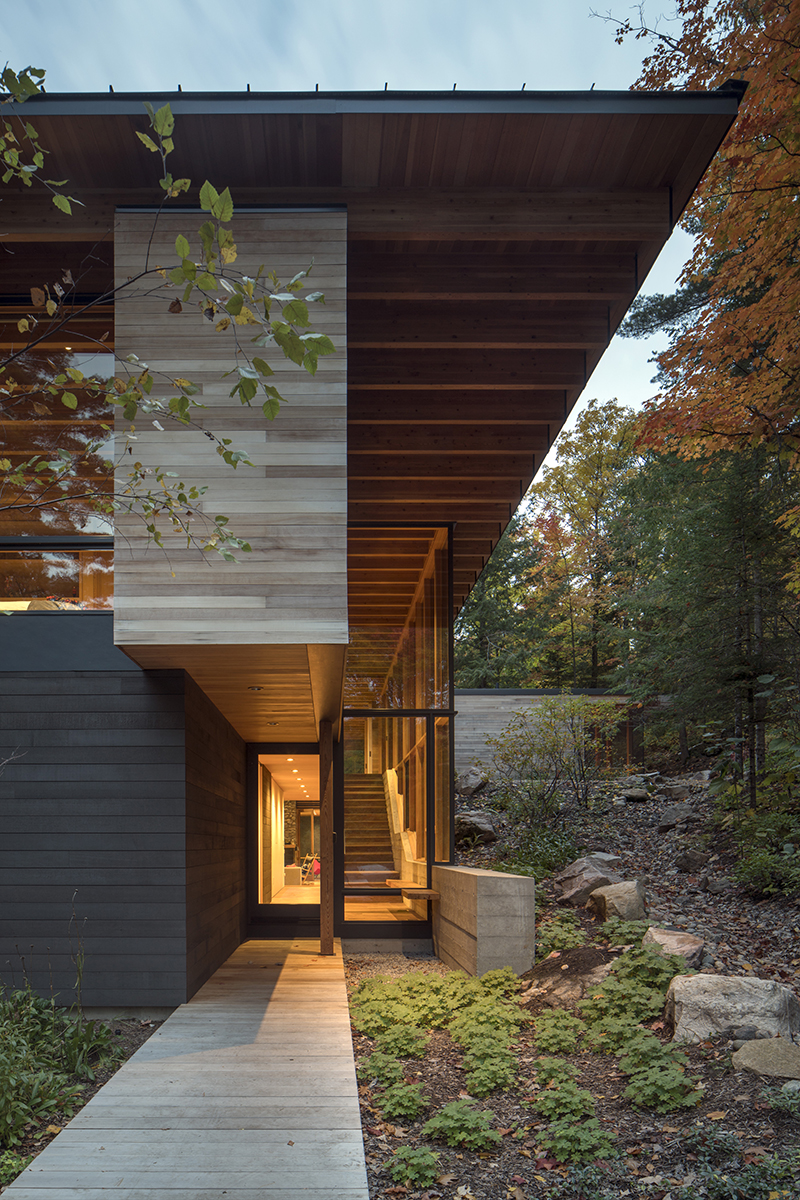 The Bear Stand - Architect Magazine