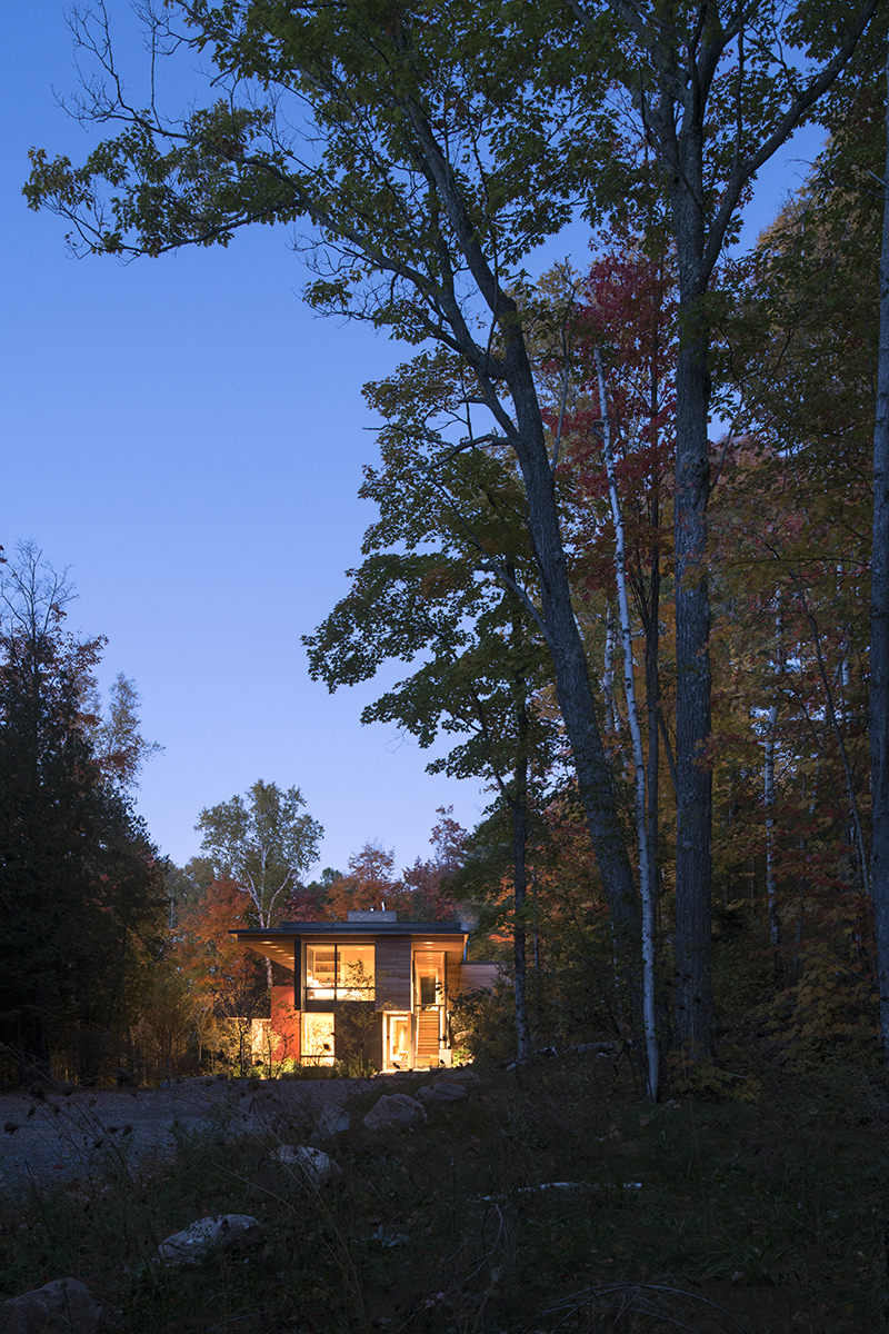 The Bear Stand - Architect Magazine