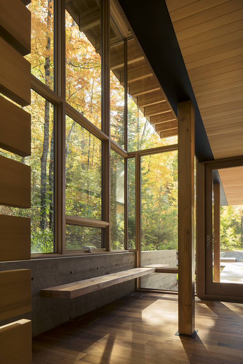 The Bear Stand - Architect Magazine