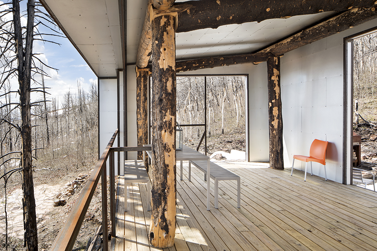 The Phoenix - Architect Magazine