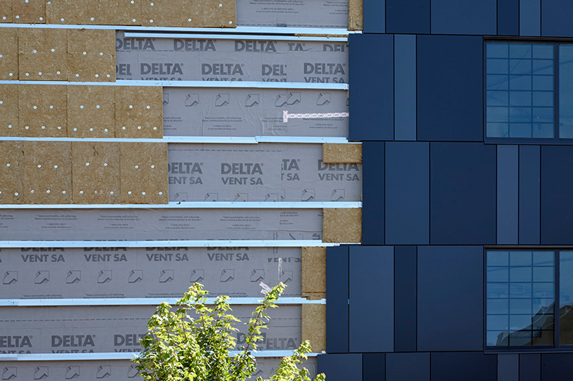 Hotel Lismore - Architect Magazine