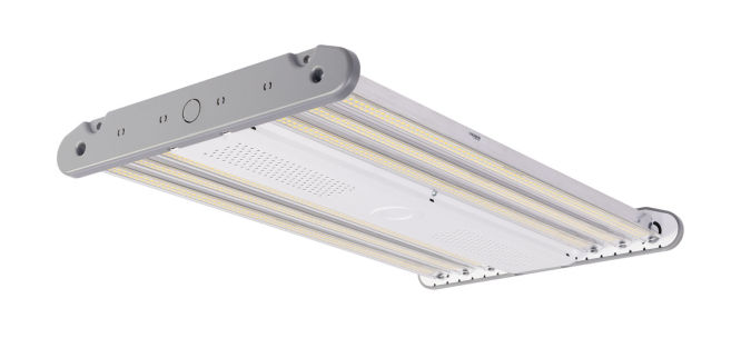 Flex Lighting Solutions - Architect Magazine