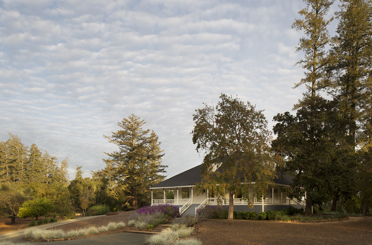 Cole House - Architect Magazine