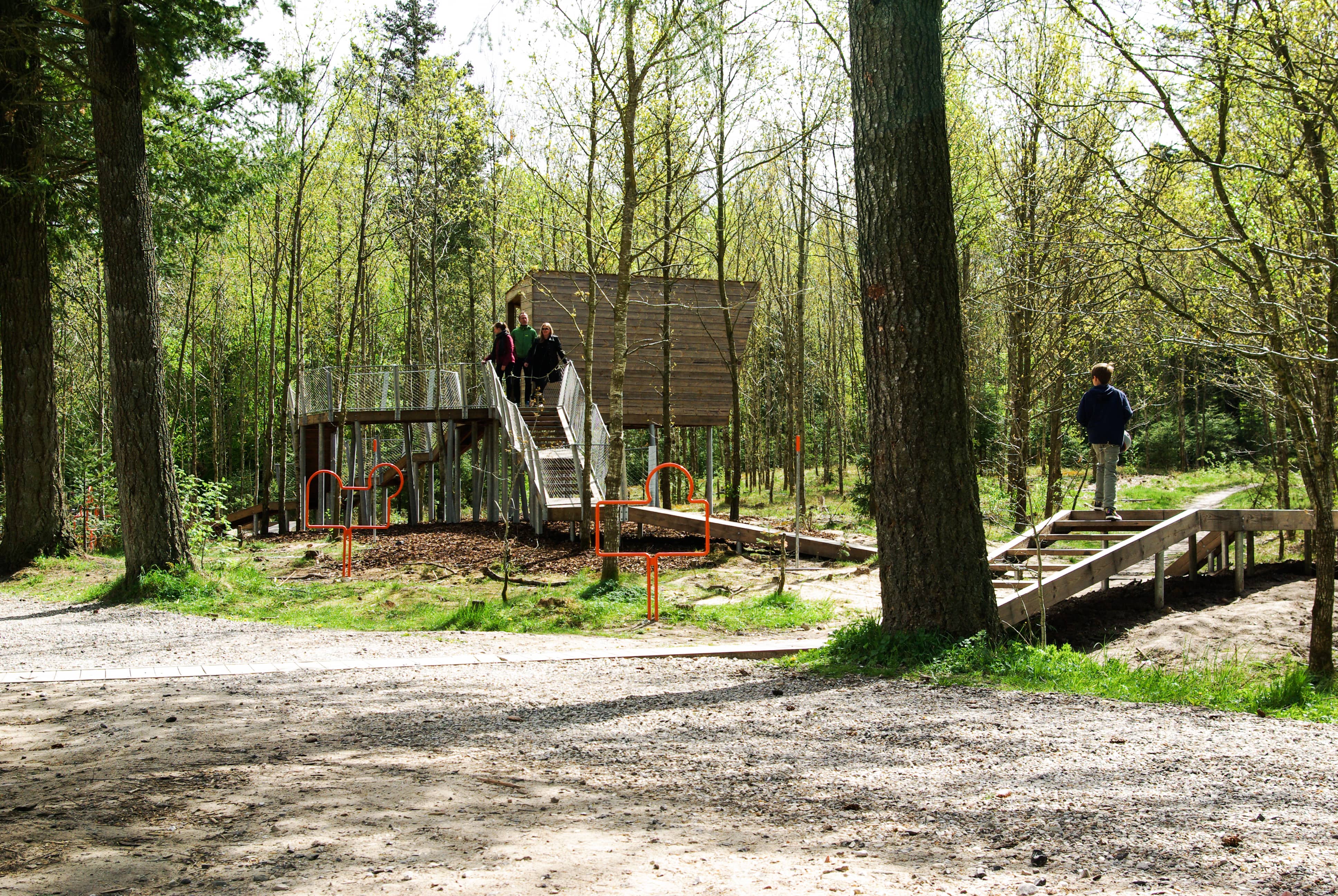 Wonder Wood Playground - Architect Magazine