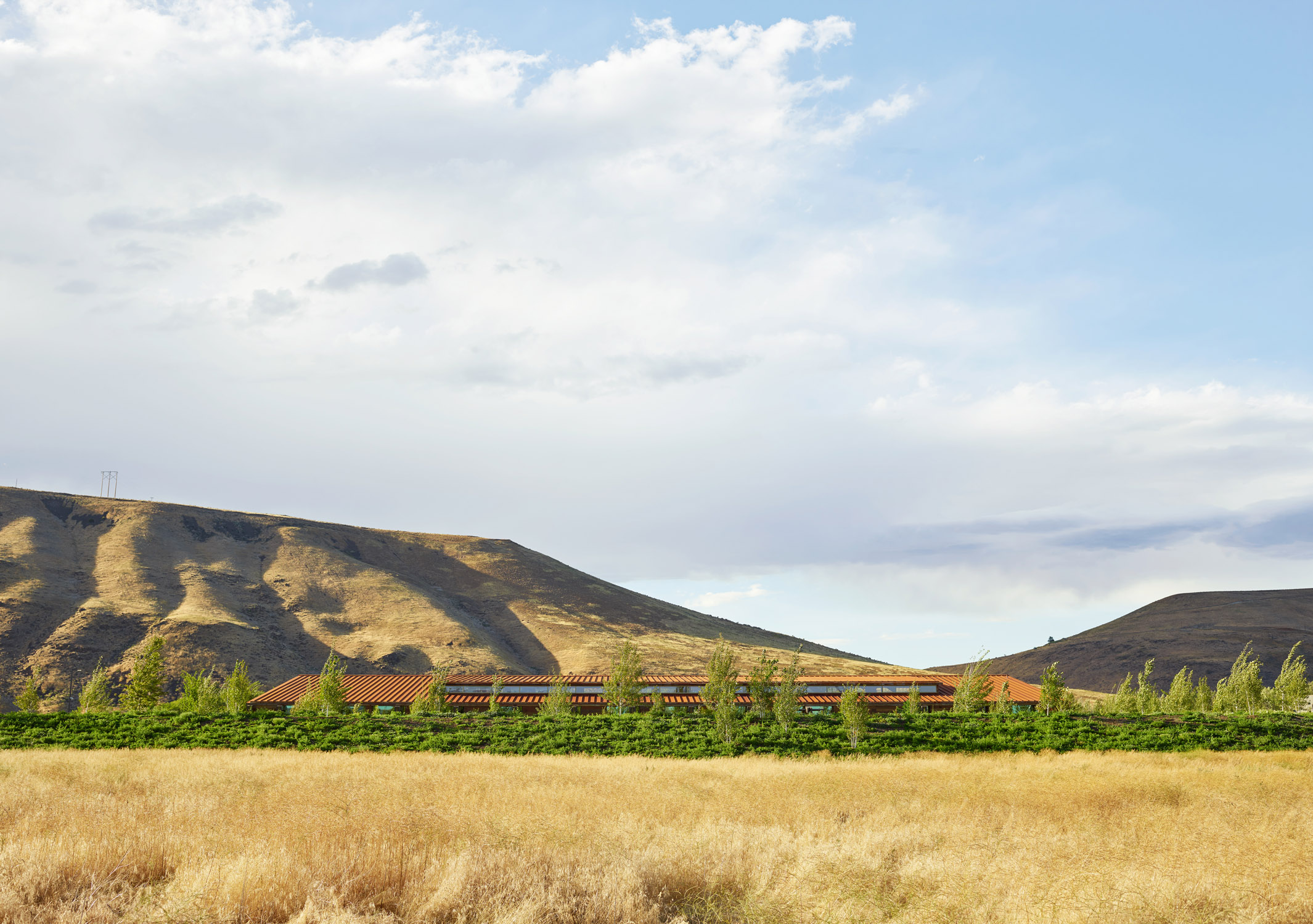 Washington Fruit & Produce Co. Headquarters - Architect Magazine