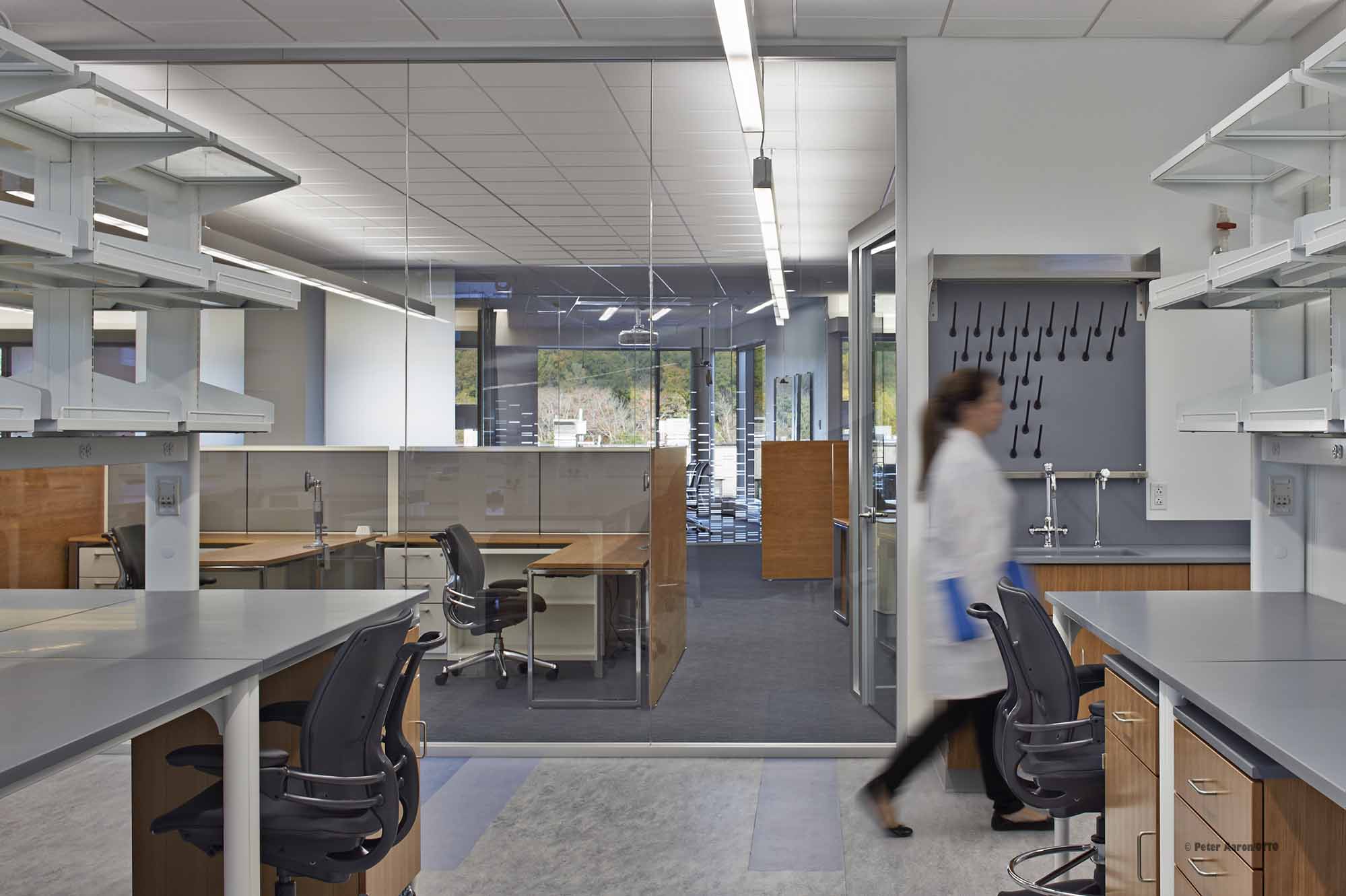 The Jackson Laboratory for Genomic Medicine - Architect Magazine