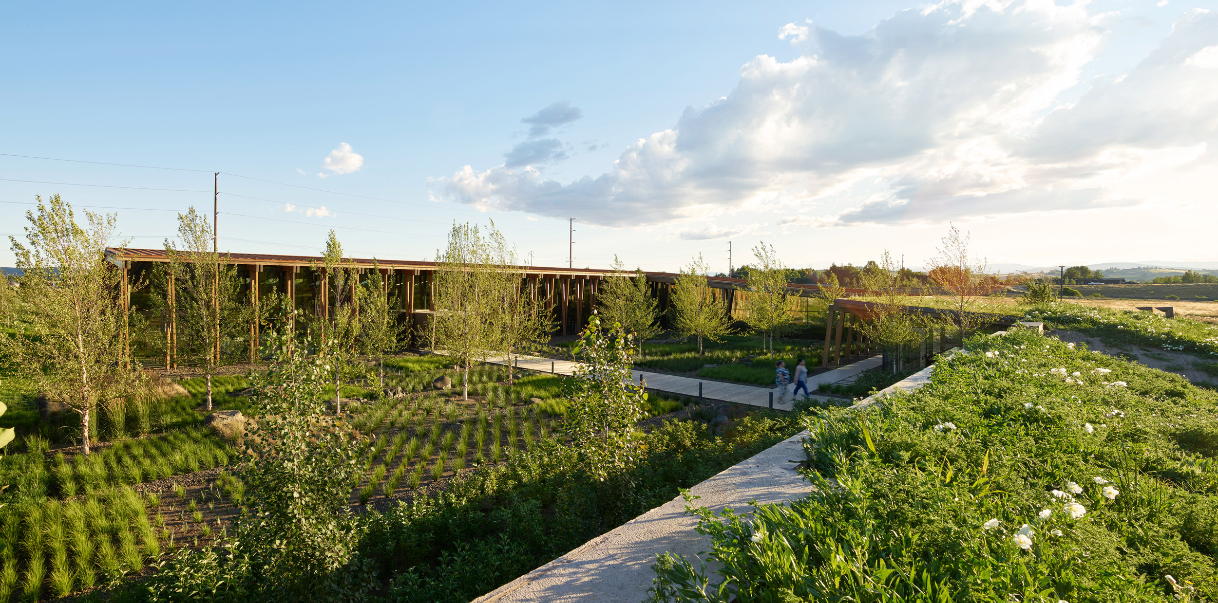 Washington Fruit & Produce Co. Headquarters - Architect Magazine