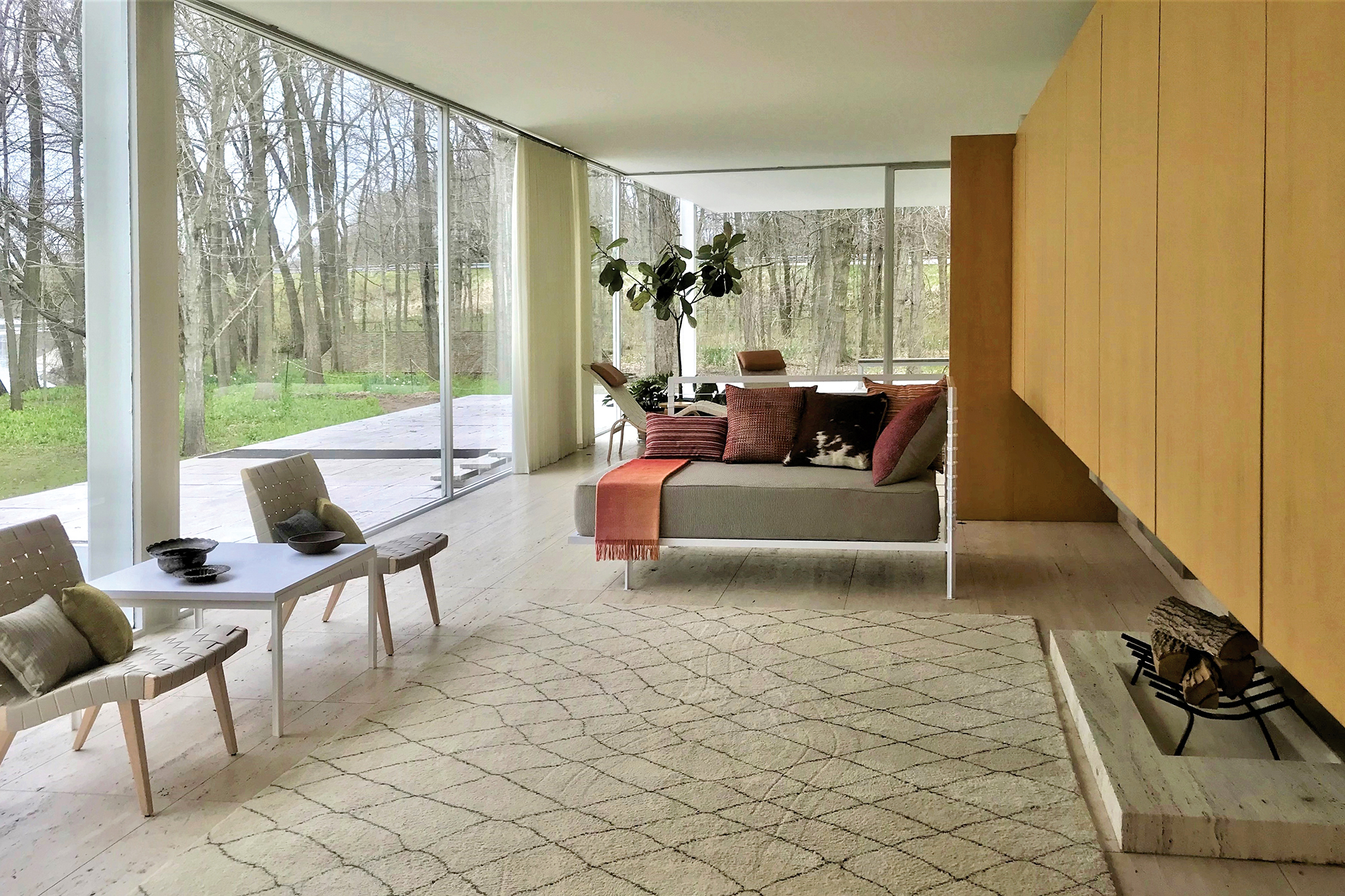 The Farnsworth House on Trial