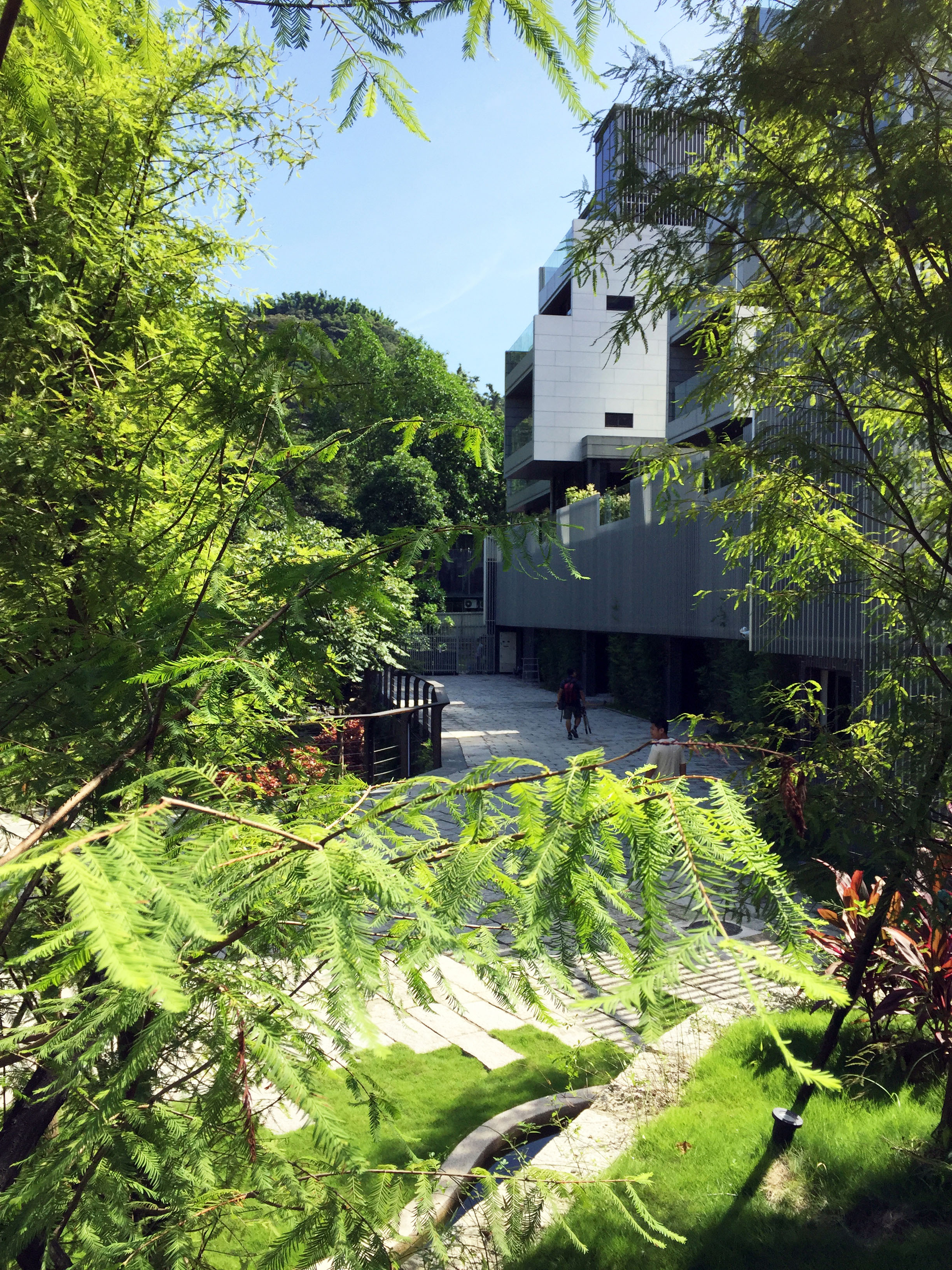 House of Wind - Architect Magazine