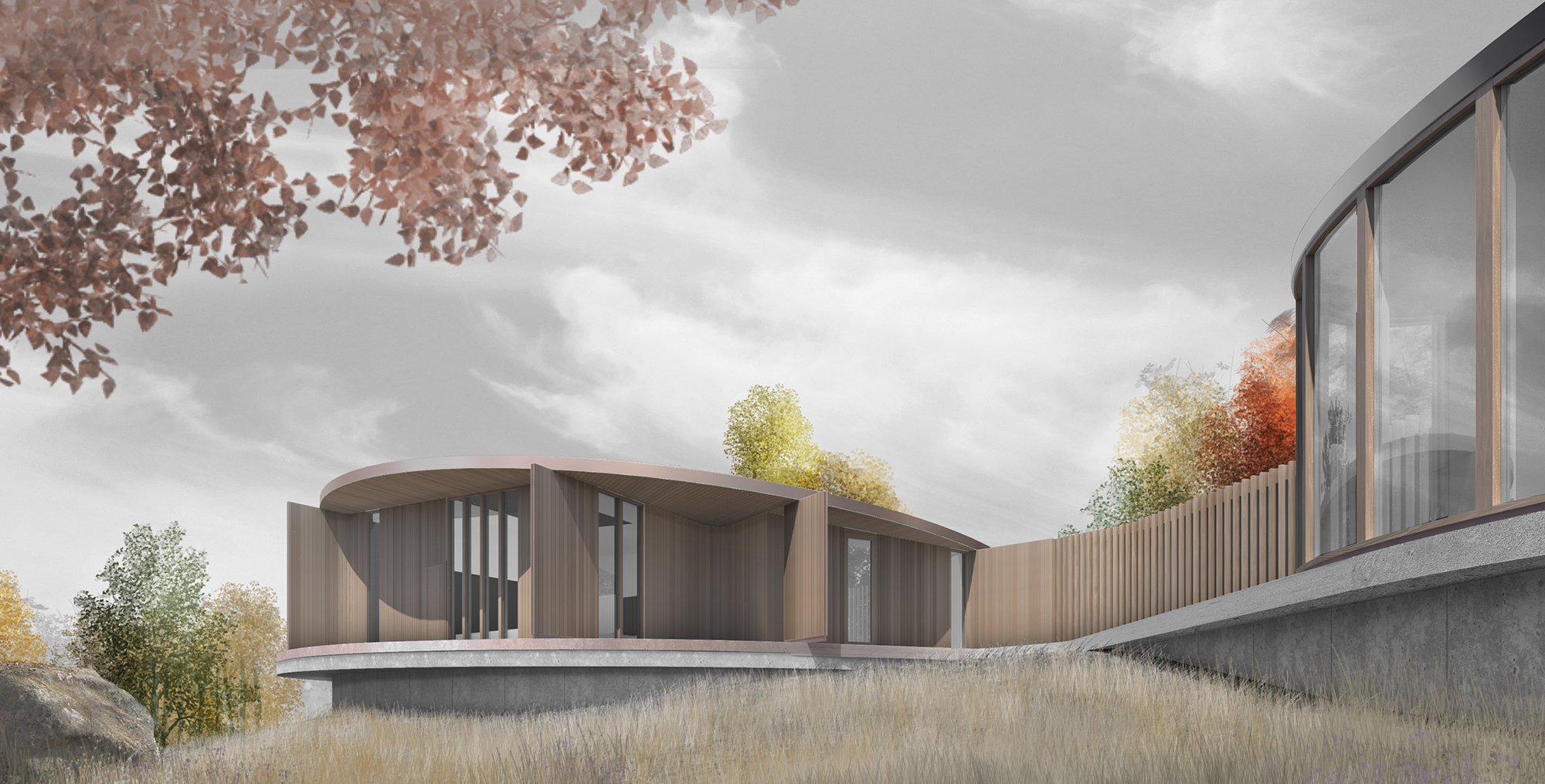 Five Award-Worthy Wood-Clad Houses