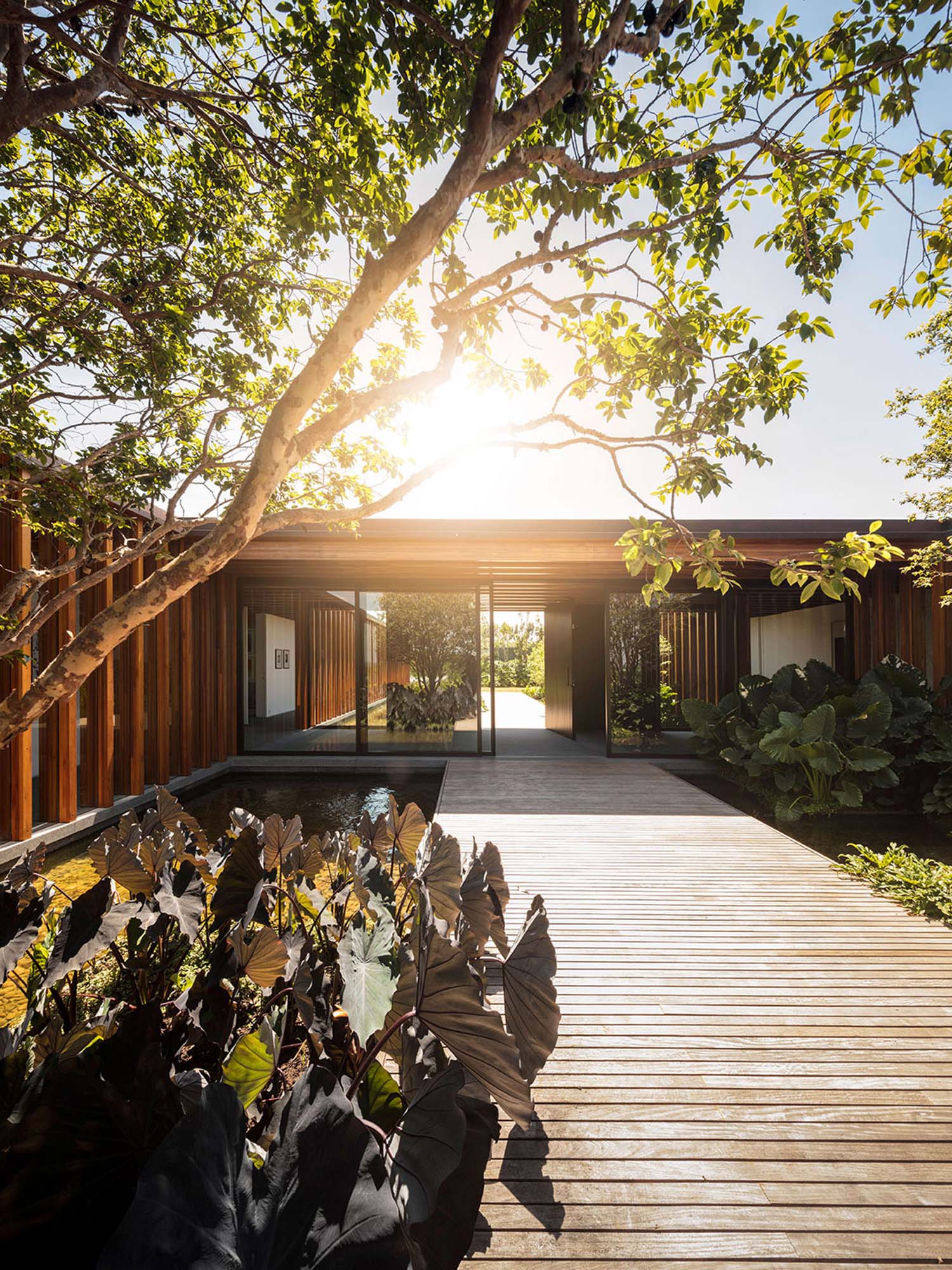 OS House - Architect Magazine