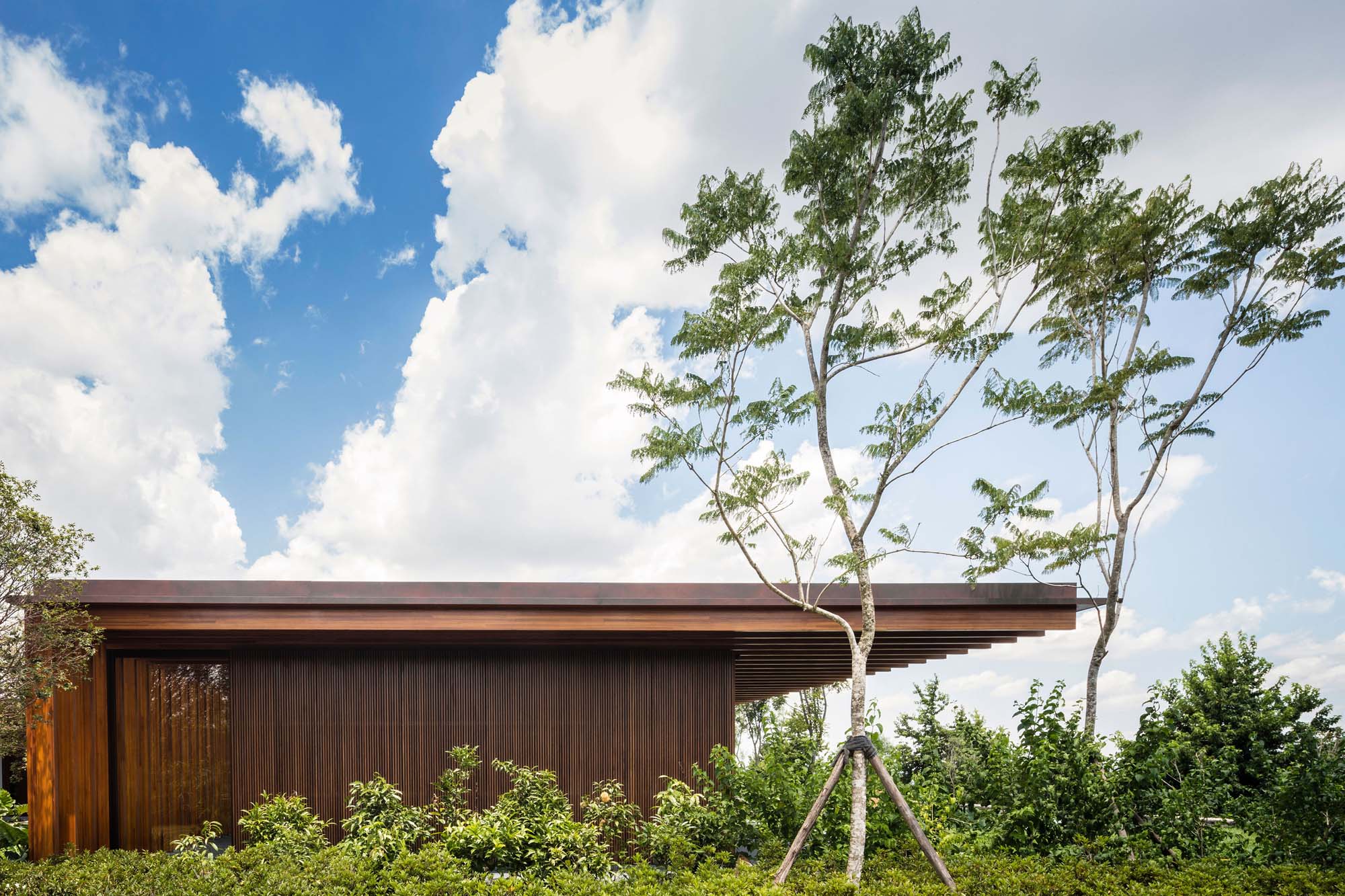 OS House - Architect Magazine