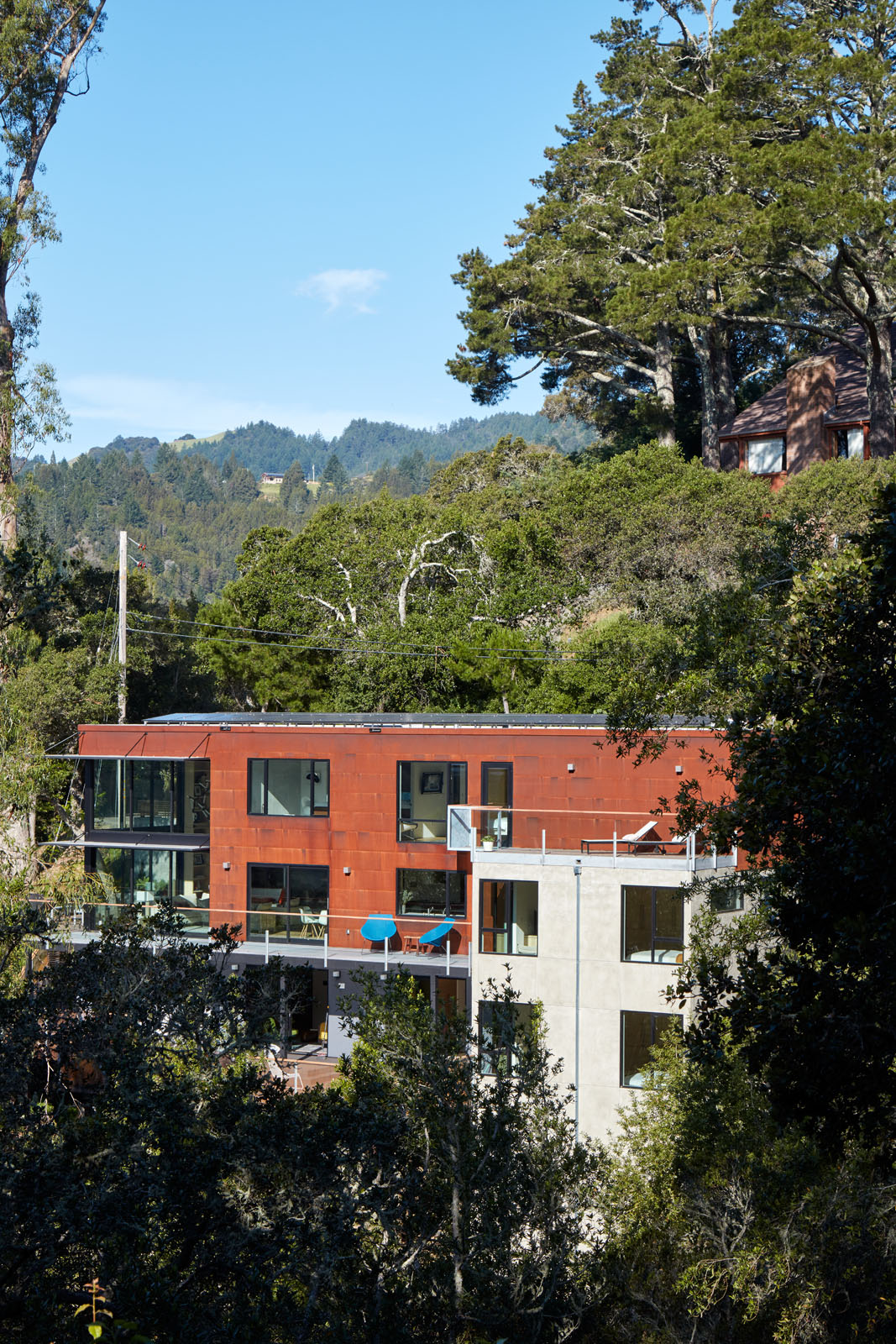 Hillside House - Architect Magazine
