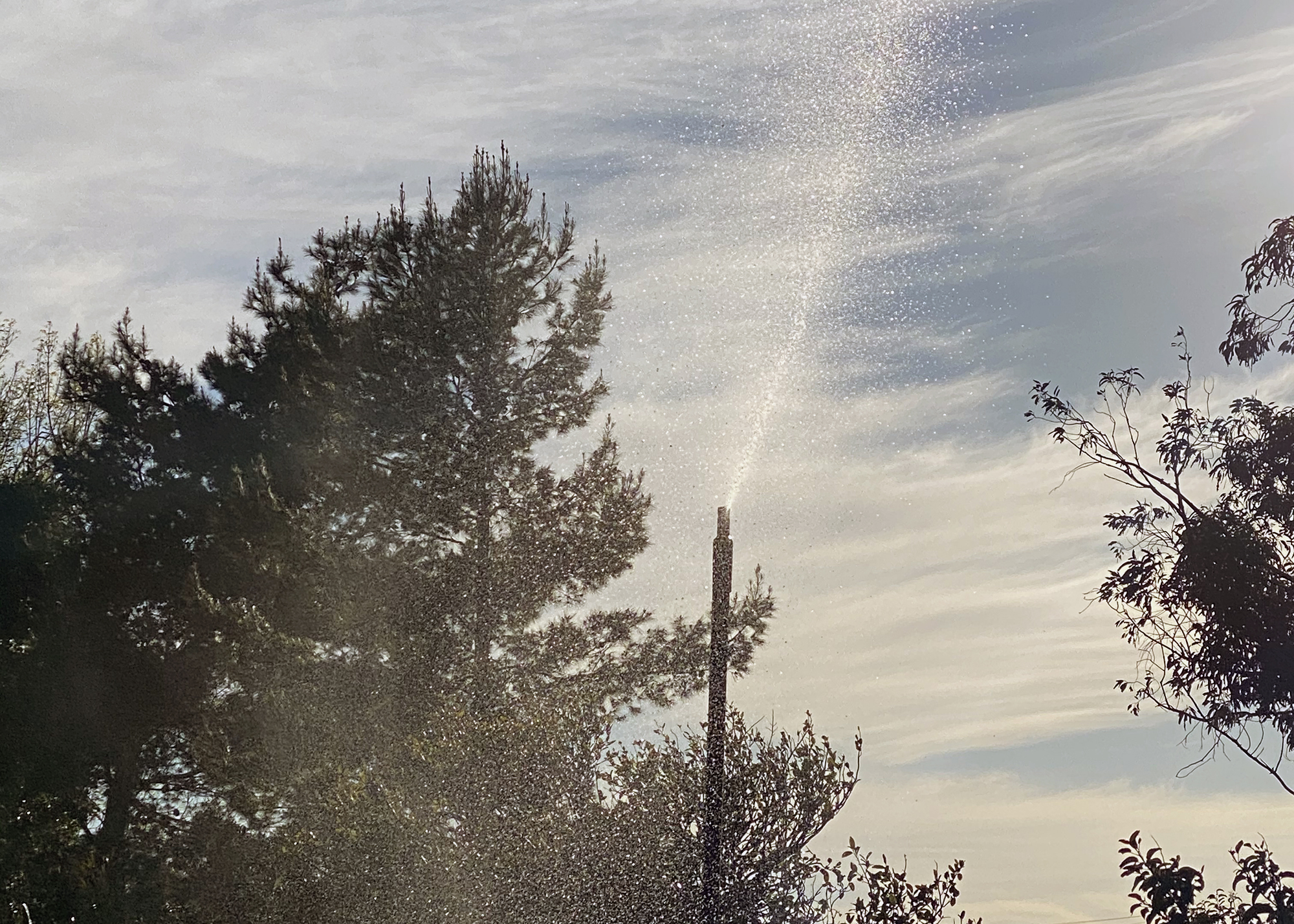 Wildfire Resilience Design Strategies for Architects and Homeowners