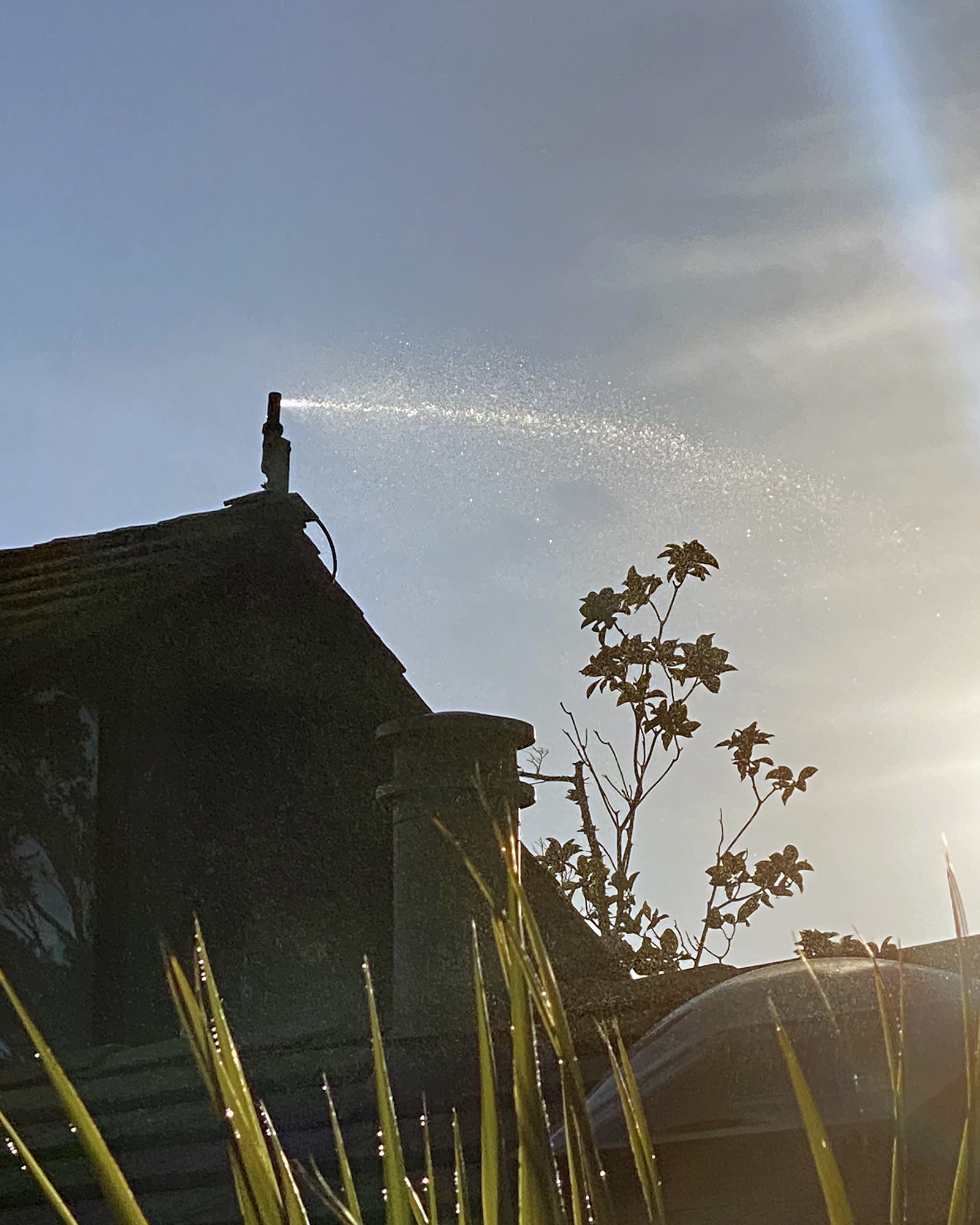 Wildfire Resilience Design Strategies for Architects and Homeowners