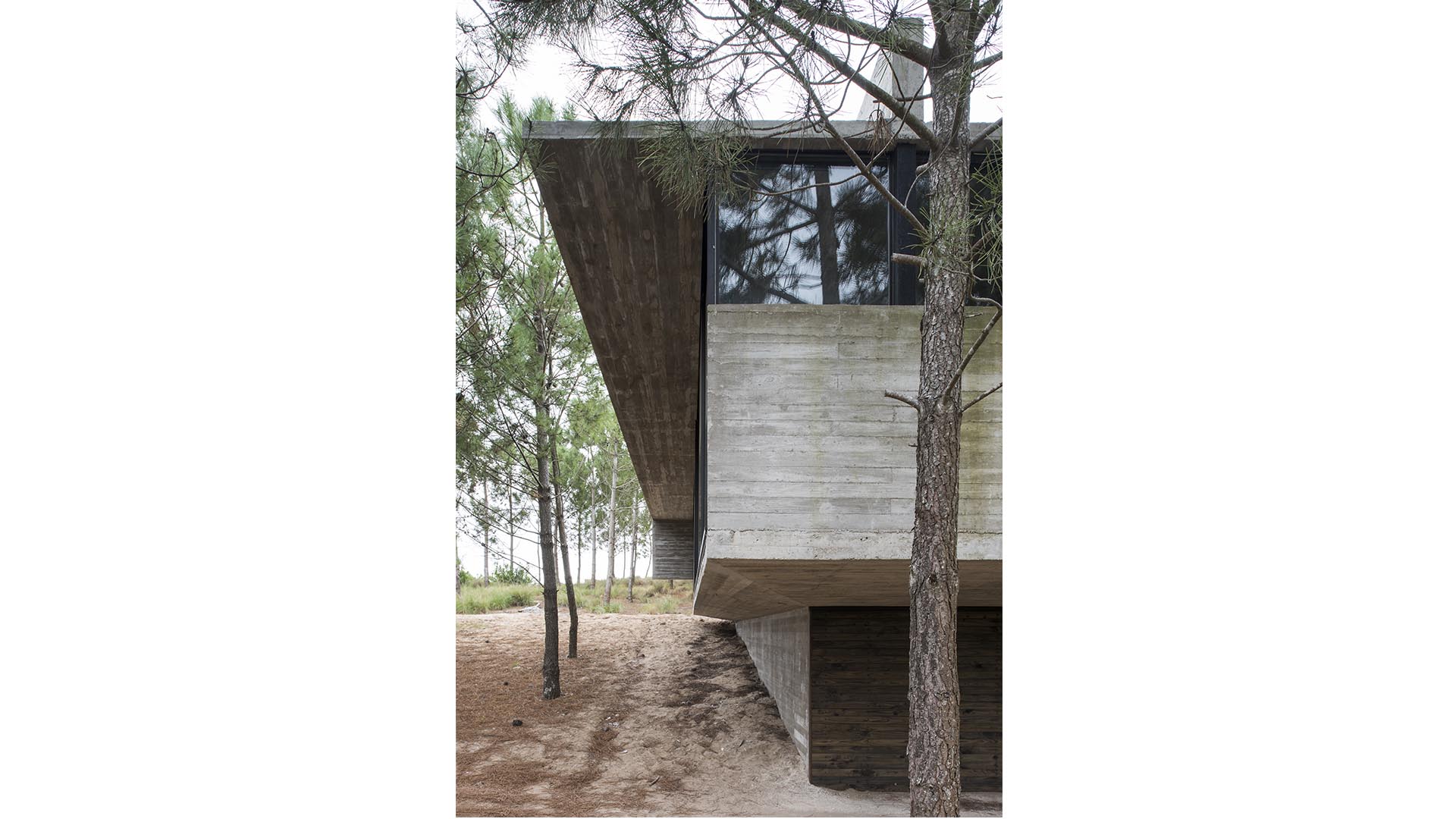 L4 House - Architect Magazine