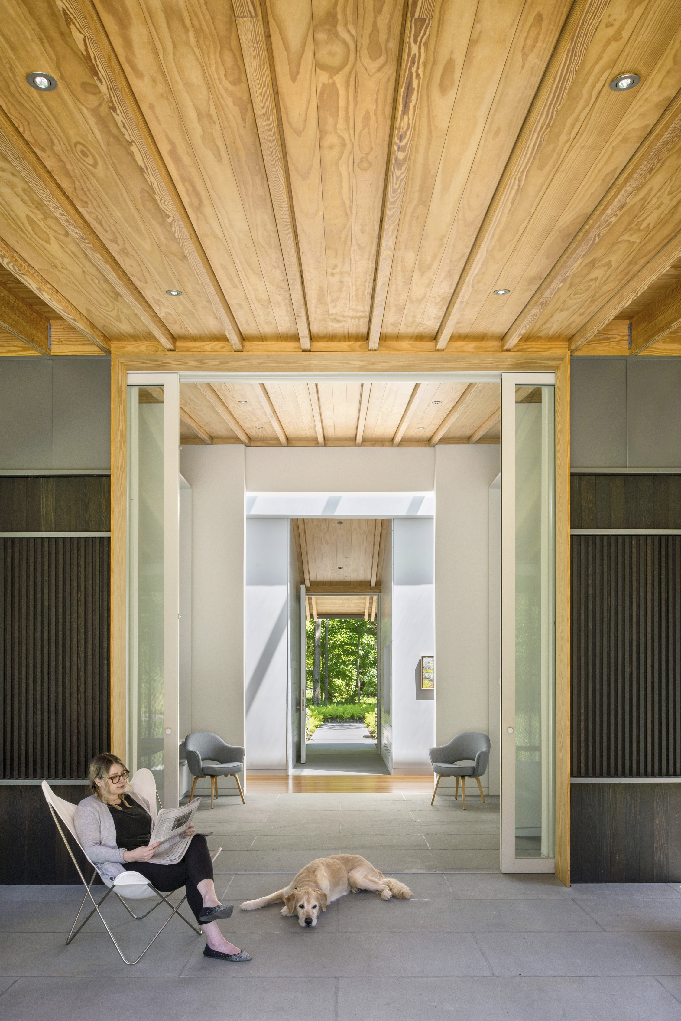 Light Path - Architect Magazine