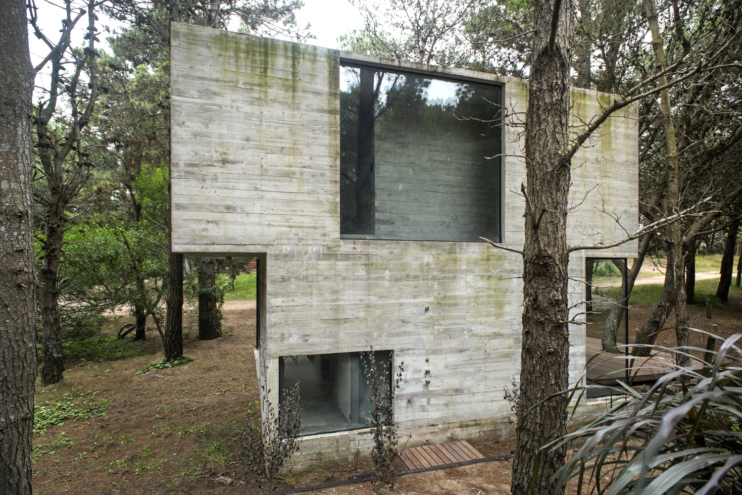 H3 House - Architect Magazine