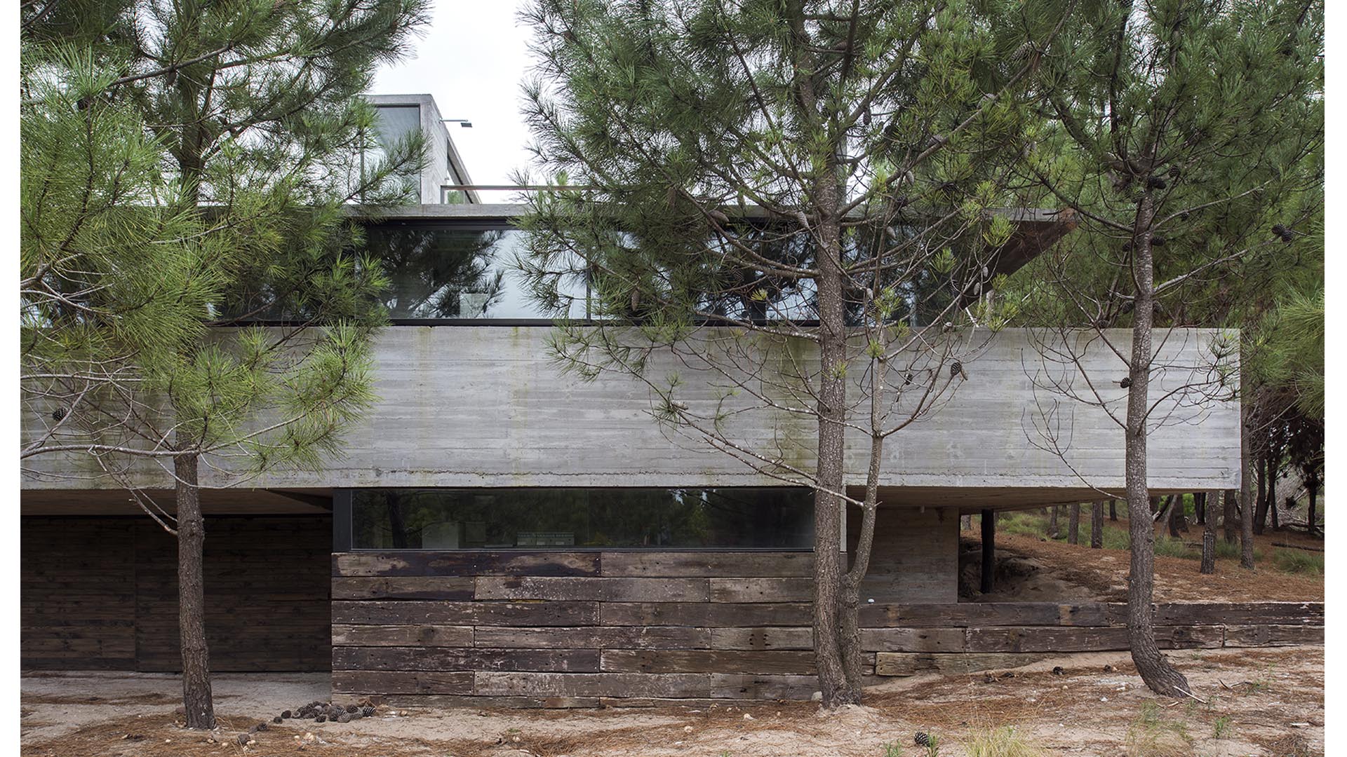 L4 House - Architect Magazine