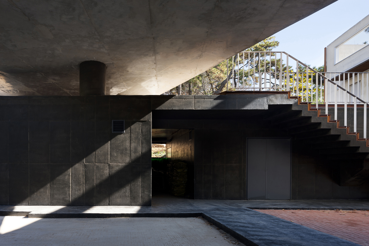 Rock & Branch - Architect Magazine