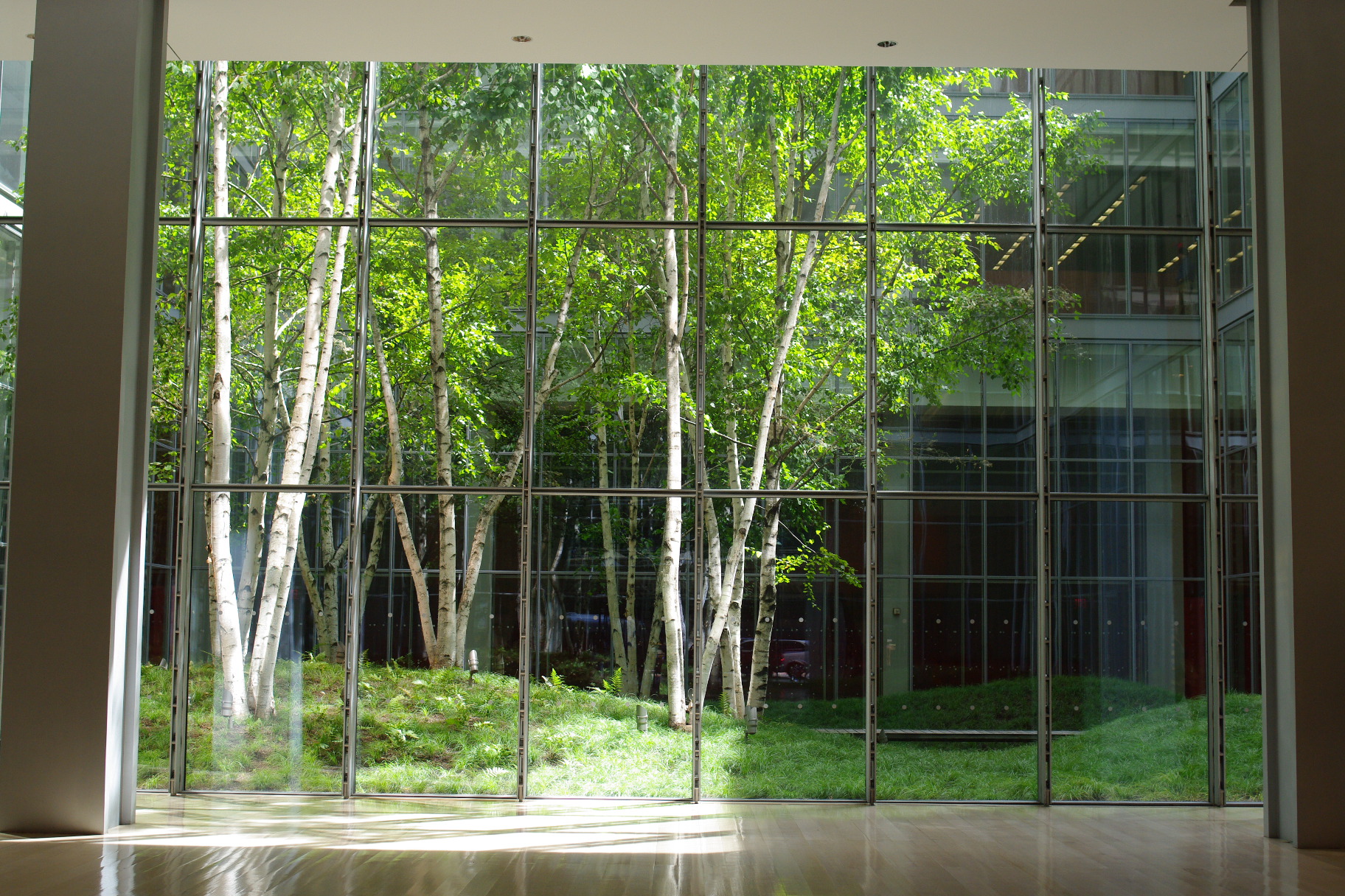 THE NEW YORK TIMES BUILDING, Lobby Garden - Architect Magazine