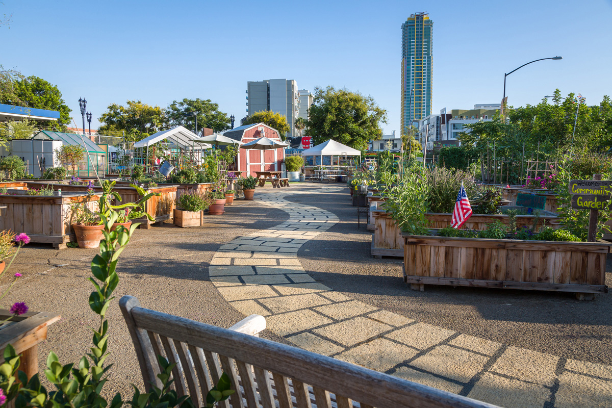 The 2015 Onions and Orchids Awards Name San Diego’s Best and Worst ...