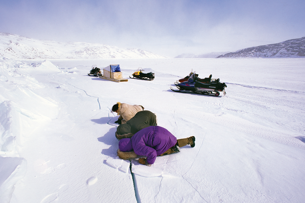 The Conflicting Future for Arctic Settlement and Design