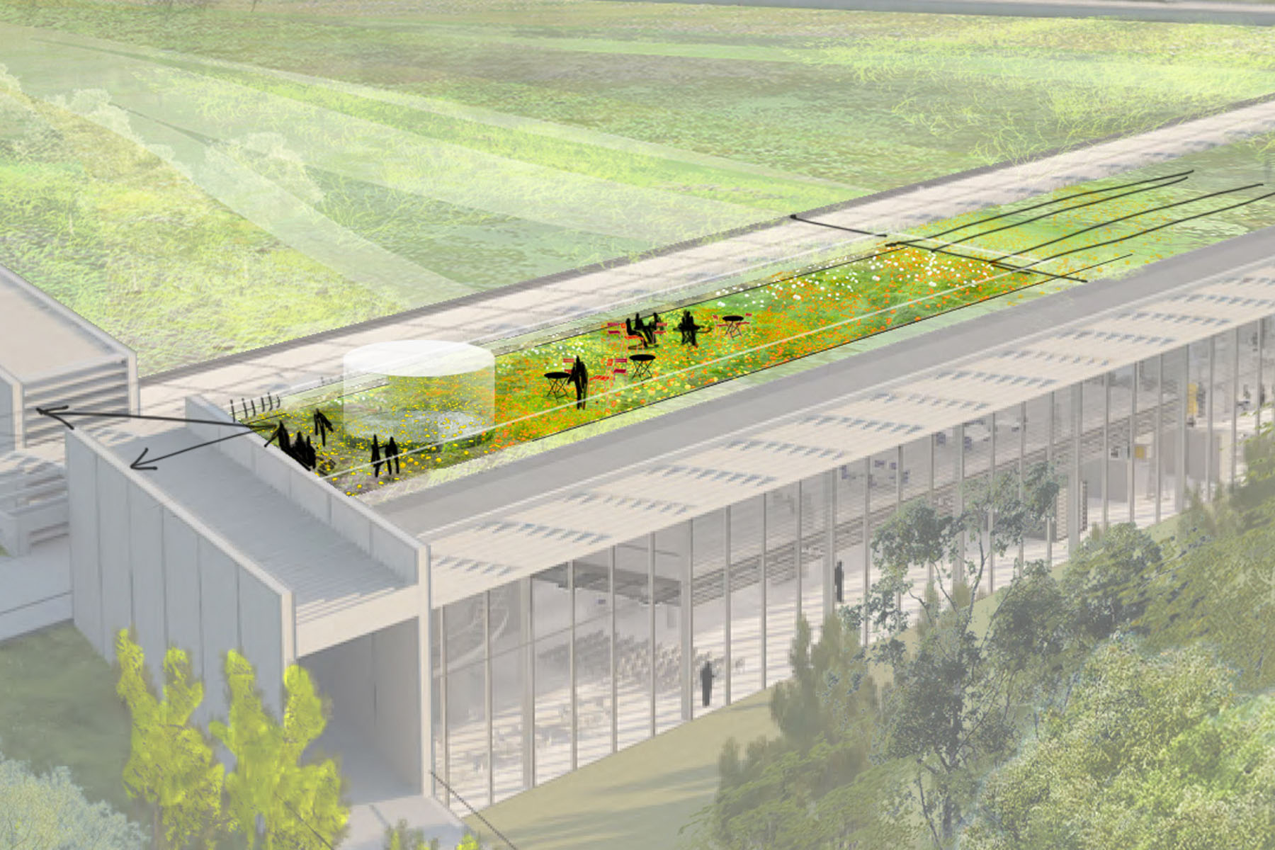 Conservation and Storage Facility for the Musée du Louvre - Architect ...