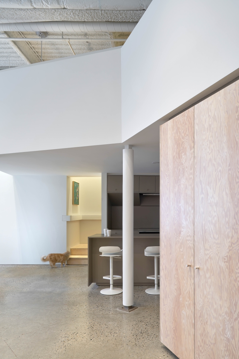 107 Loft - Architect Magazine