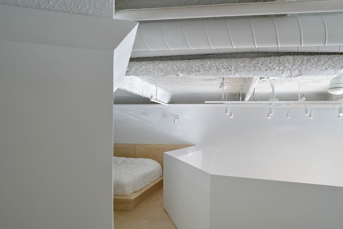 107 Loft - Architect Magazine