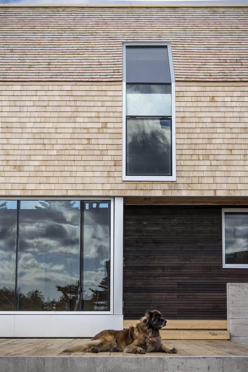 Point House - Architect Magazine