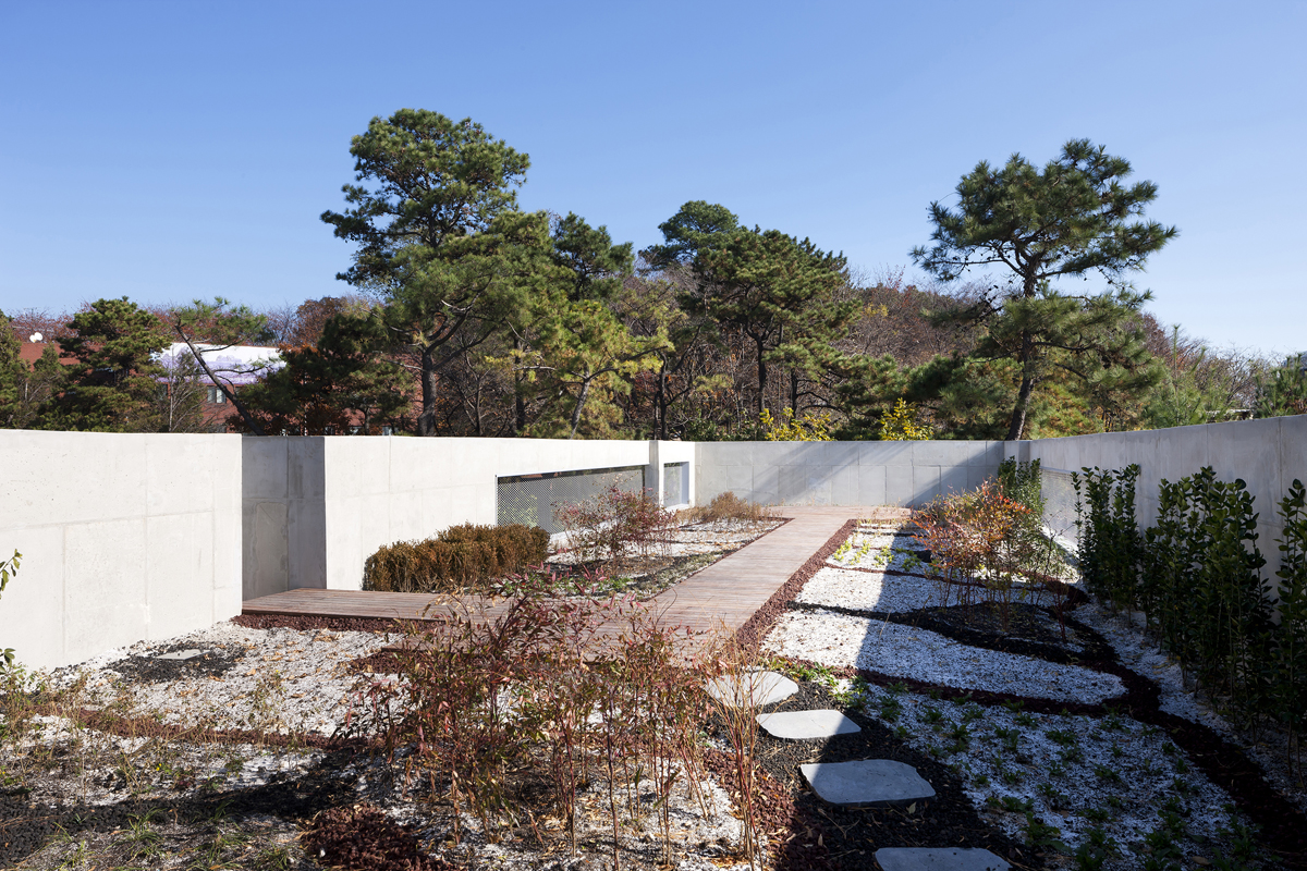 Rock & Branch - Architect Magazine