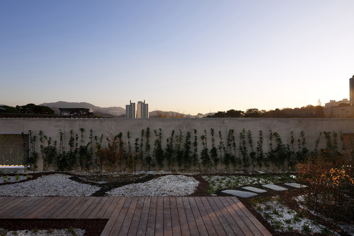 Rock & Branch - Architect Magazine