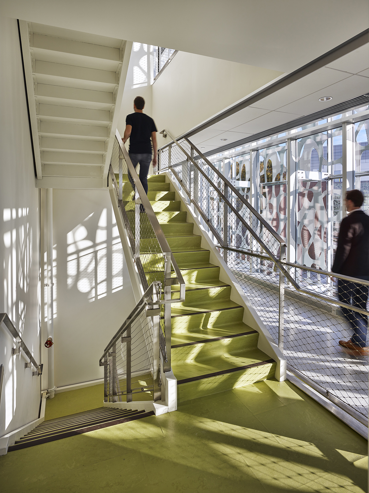 University of Pennsylvania Stephen A. Levin Building - Architect Magazine