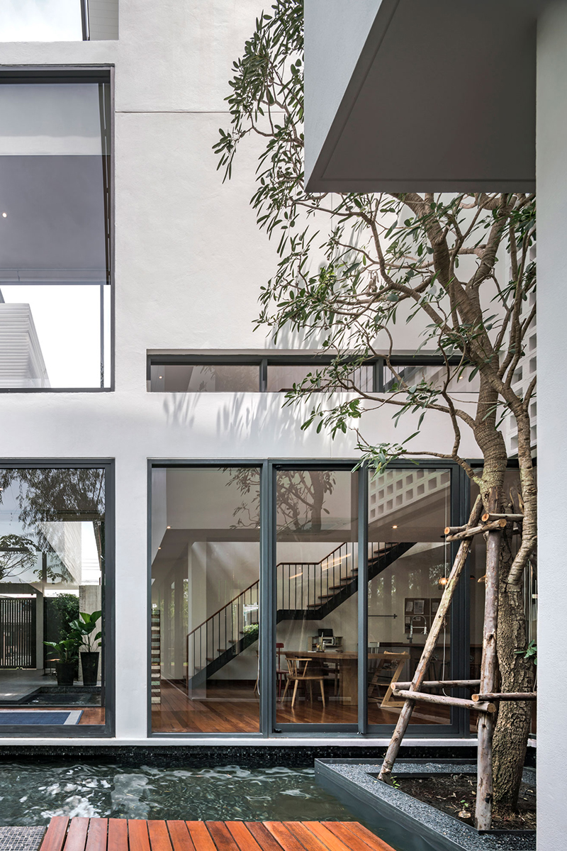 Y House - Architect Magazine