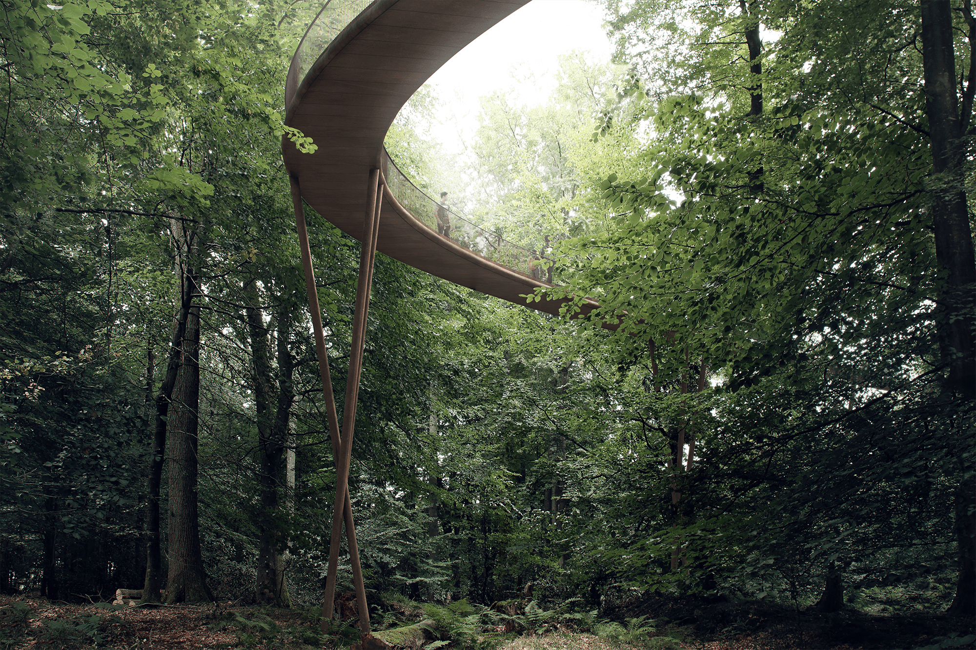 Camp Adventure - The Treetop Experience - Architect Magazine