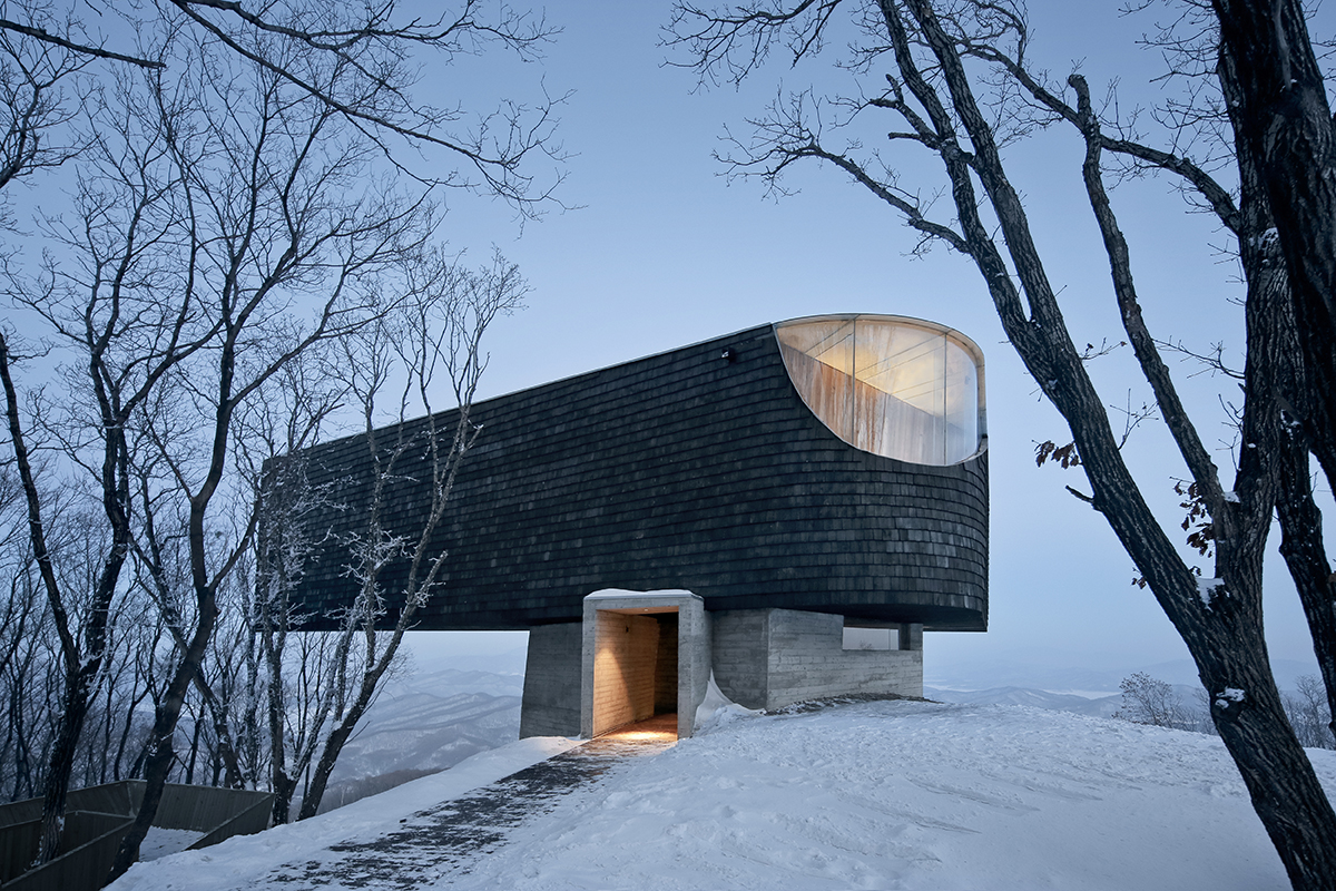 Stage of Forest - Architect Magazine