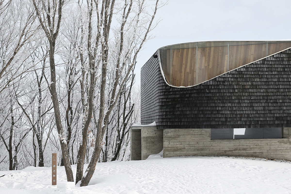 Stage of Forest - Architect Magazine