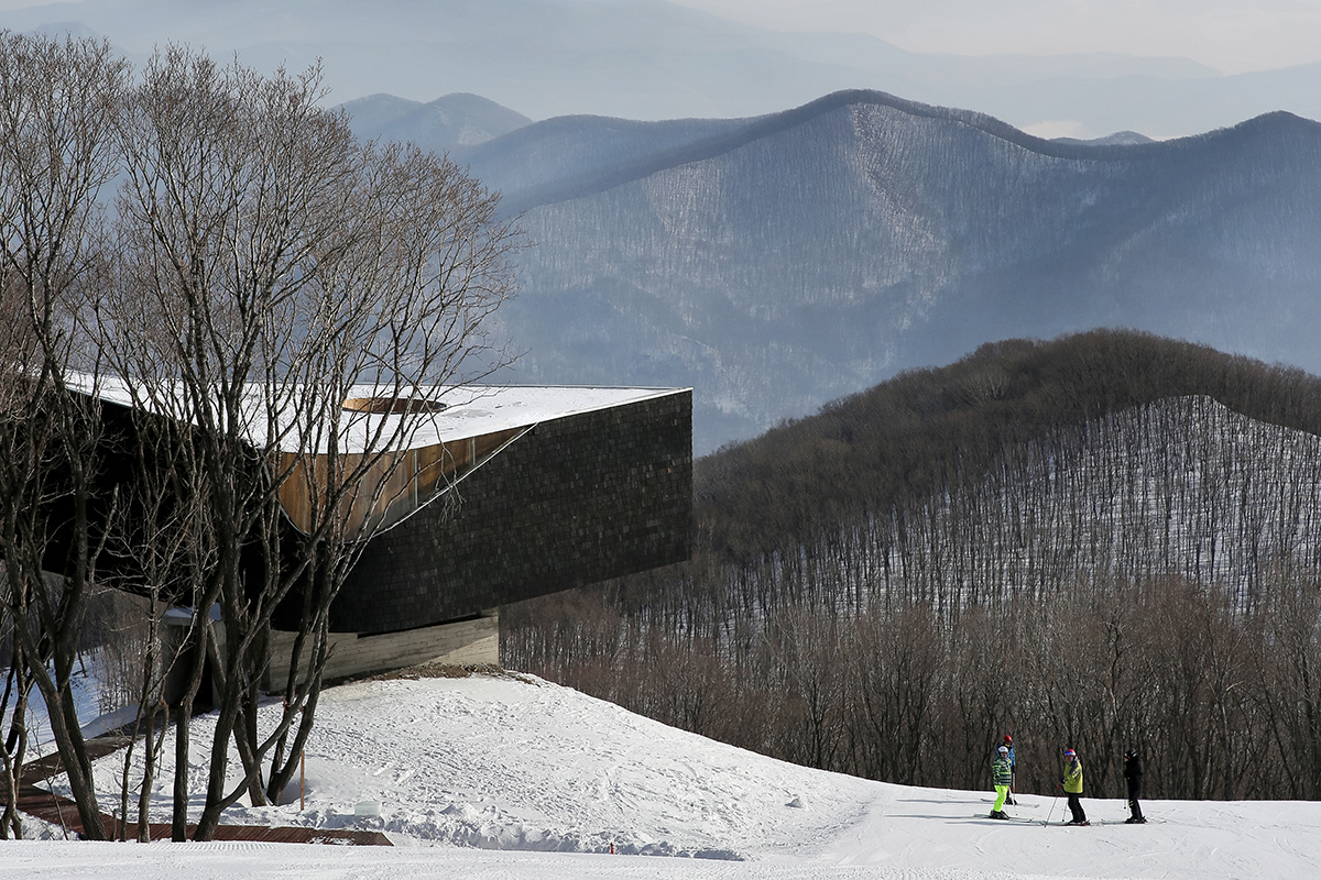 Stage of Forest - Architect Magazine