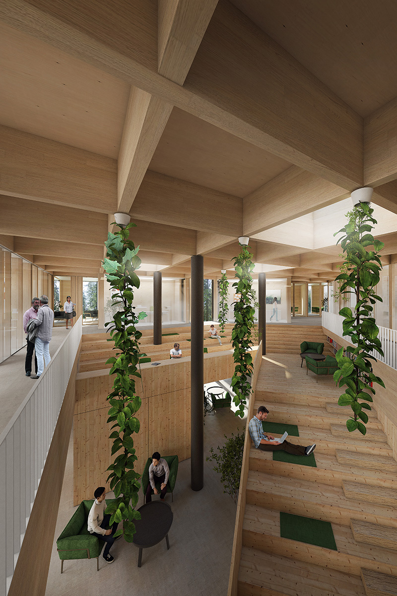 New Administrative Centre of the Czech Forestry Commission - Architect ...