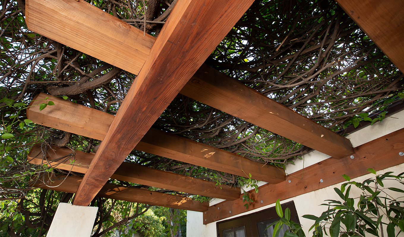 Expansive Redwood Timber Pergola Creates Verdant Courtyard Canopy