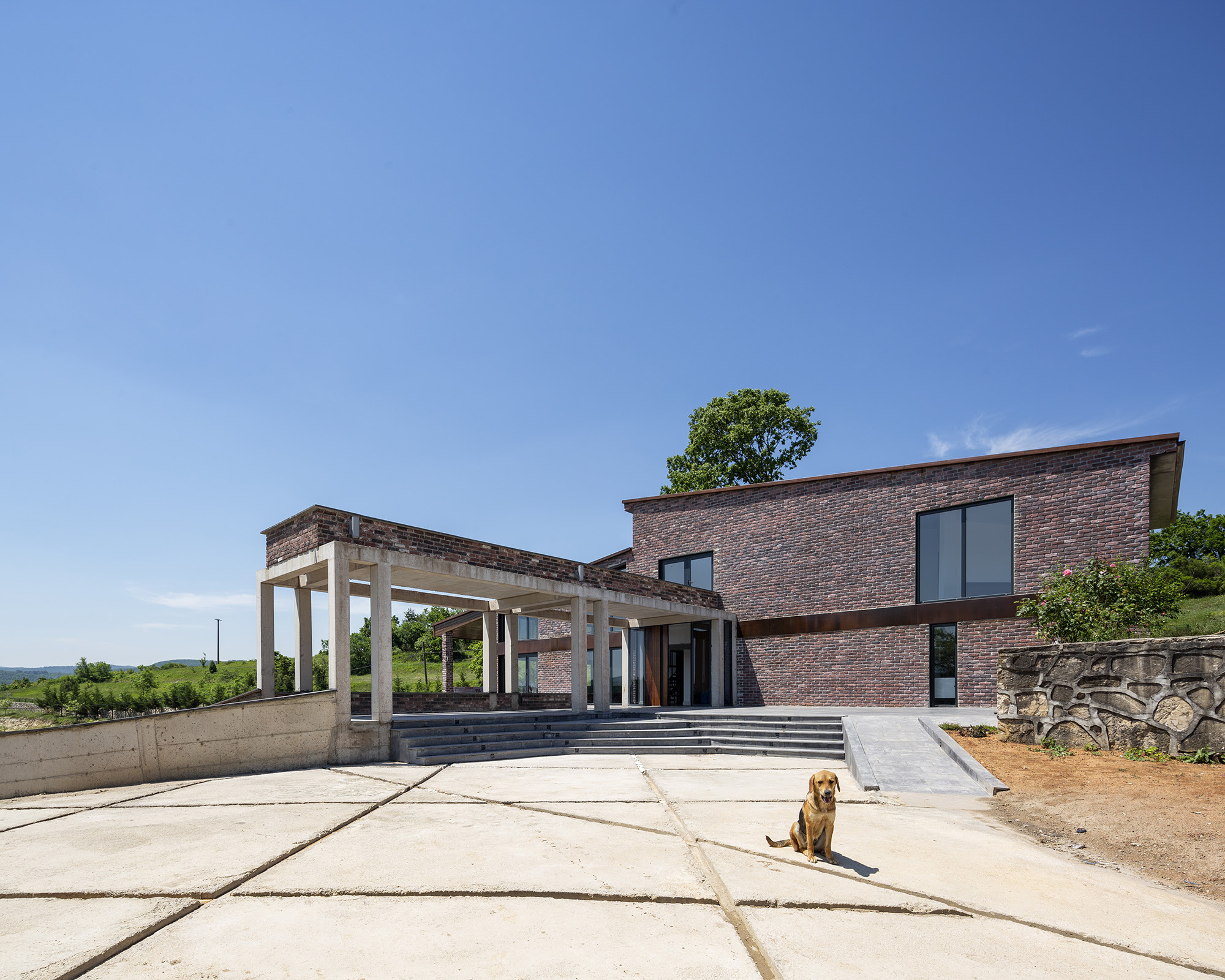 BUKHARI HOUSE - Architect Magazine