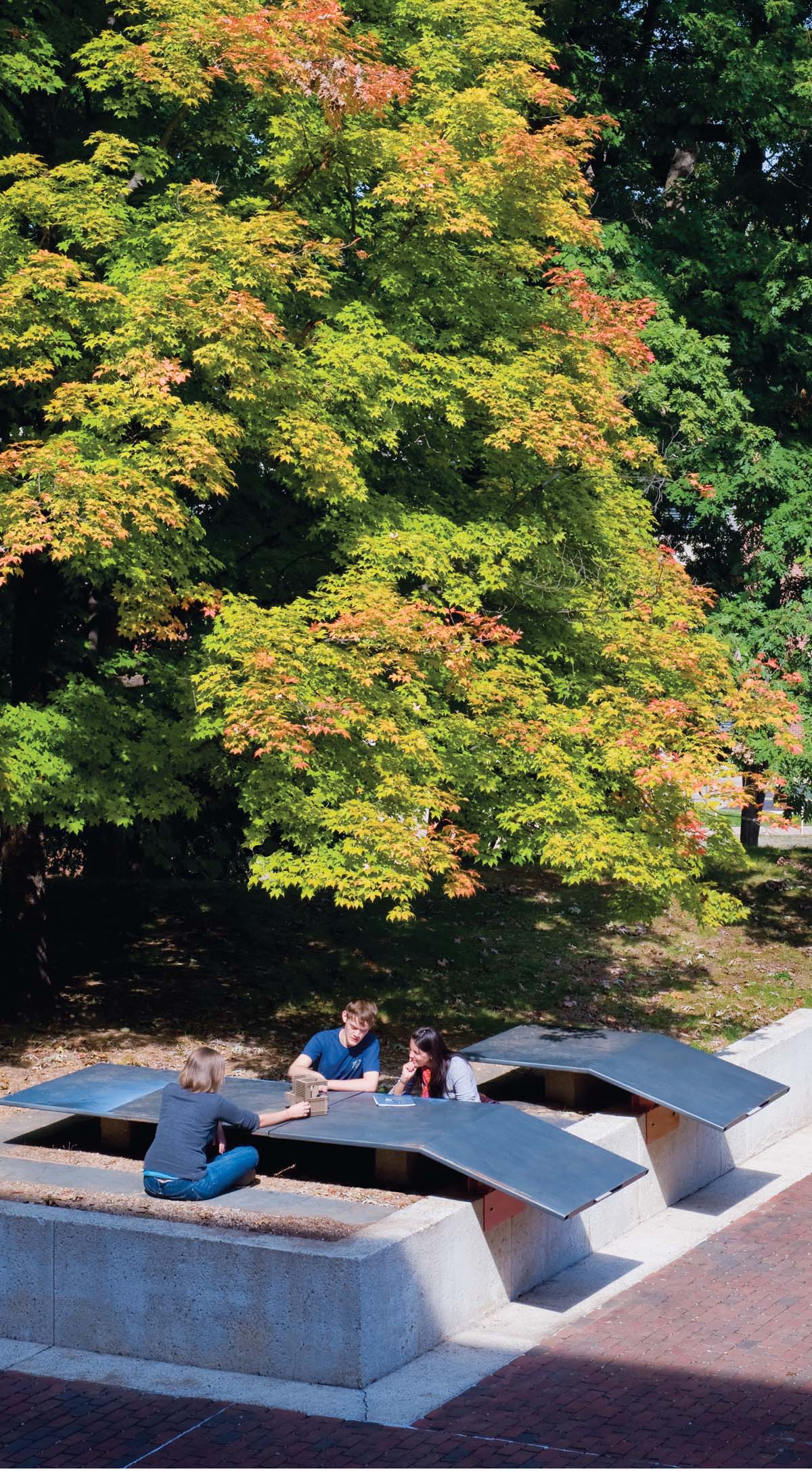 Campbell Hall - Architect Magazine