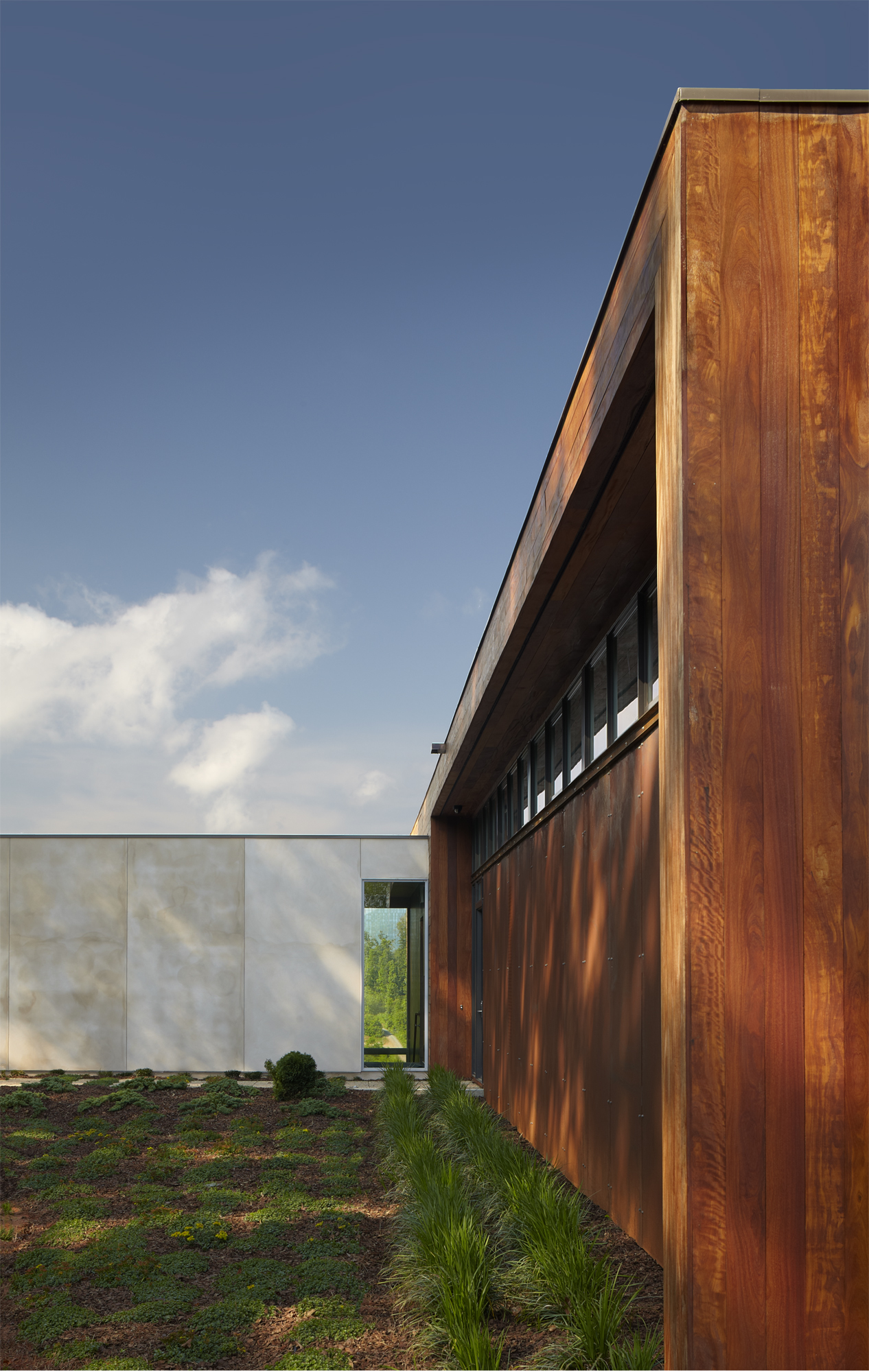 Leicester House - Architect Magazine