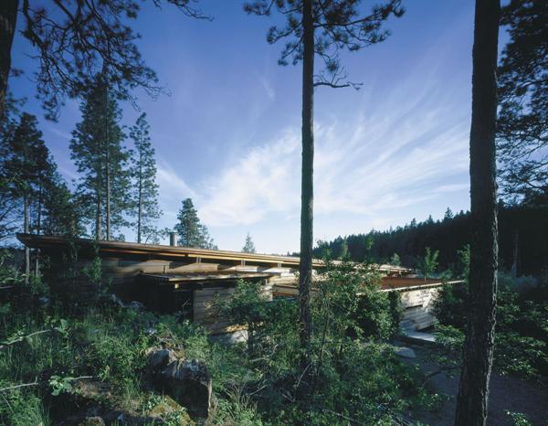 The Point House - Architect Magazine